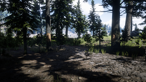 Faces In Trees Location - Point of Interest - Red Dead Redemption 2 Map ...