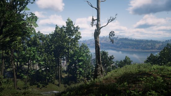 Cotorra Springs Location - Dreamcatcher - Red Dead Redemption 2 Map ...