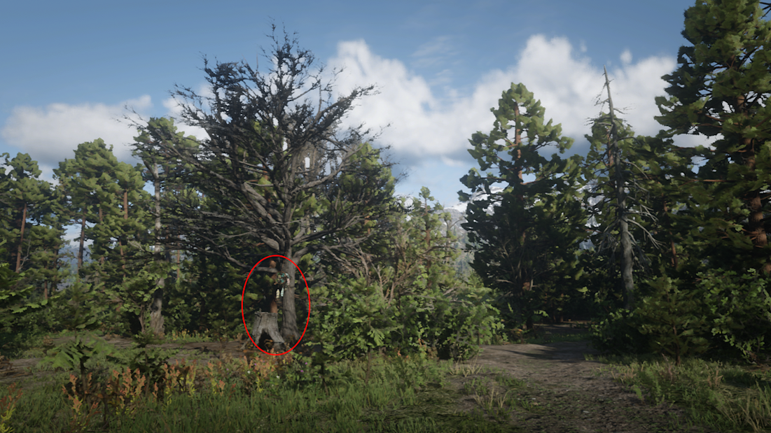 Scarlet Meadows Location - Dreamcatcher - Red Dead Redemption 2 Map ...