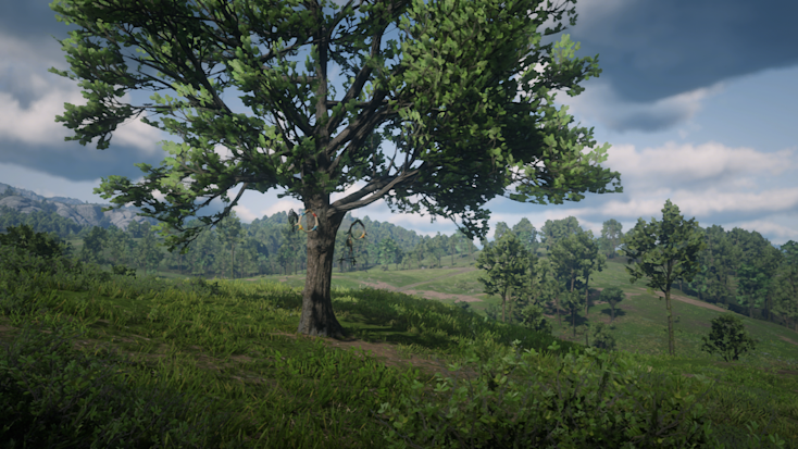 Bluewater Marsh Location - Dreamcatcher - Red Dead Redemption 2 Map ...