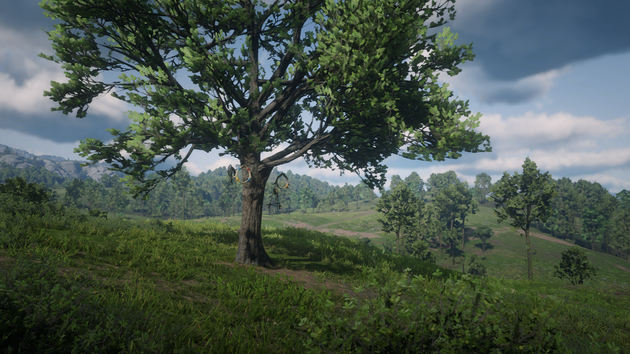 Scarlet Meadows Location - Dreamcatcher - Red Dead Redemption 2 Map ...