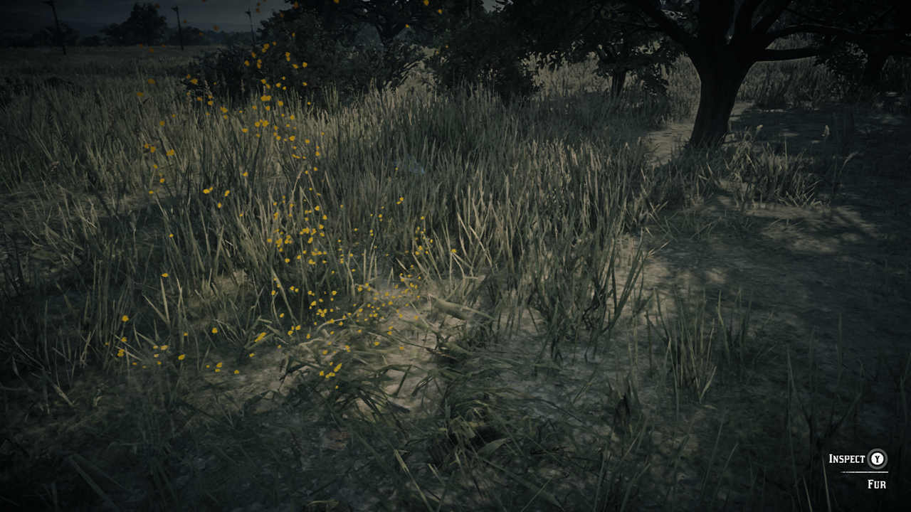 Legendary Tatanka Bison Third Clue Location - Legendary Tatanka Bison ...