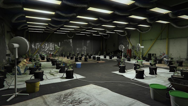 Everything you need to know about the Weed Farm in GTA V Online ...
