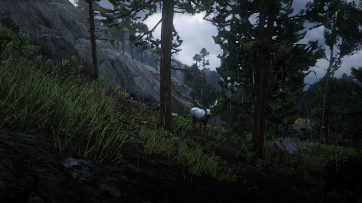 Legendary Beaver Location - Legendary Animal - Red Dead Redemption 2 ...