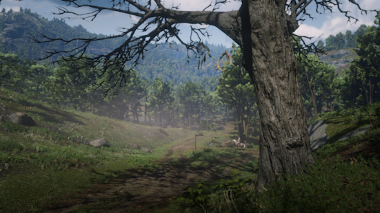 Scarlet Meadows Location - Dreamcatcher - Red Dead Redemption 2 Map ...