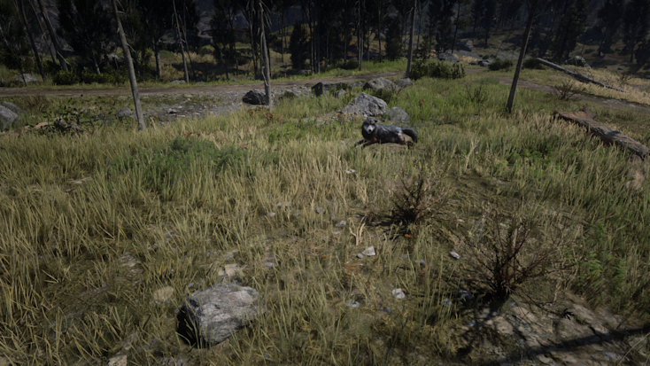 Legendary Wolf First Clue Location - Legendary Wolf - Red Dead ...