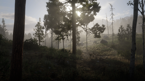 Scarlet Meadows Location - Dreamcatcher - Red Dead Redemption 2 Map ...