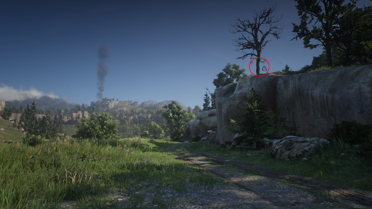 Lonnie's Shack Location - Dreamcatcher - Red Dead Redemption 2 Map ...