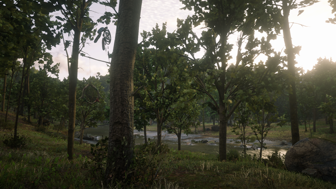 Roanoke Ridge North Location - Dreamcatcher - Red Dead Redemption 2 Map ...