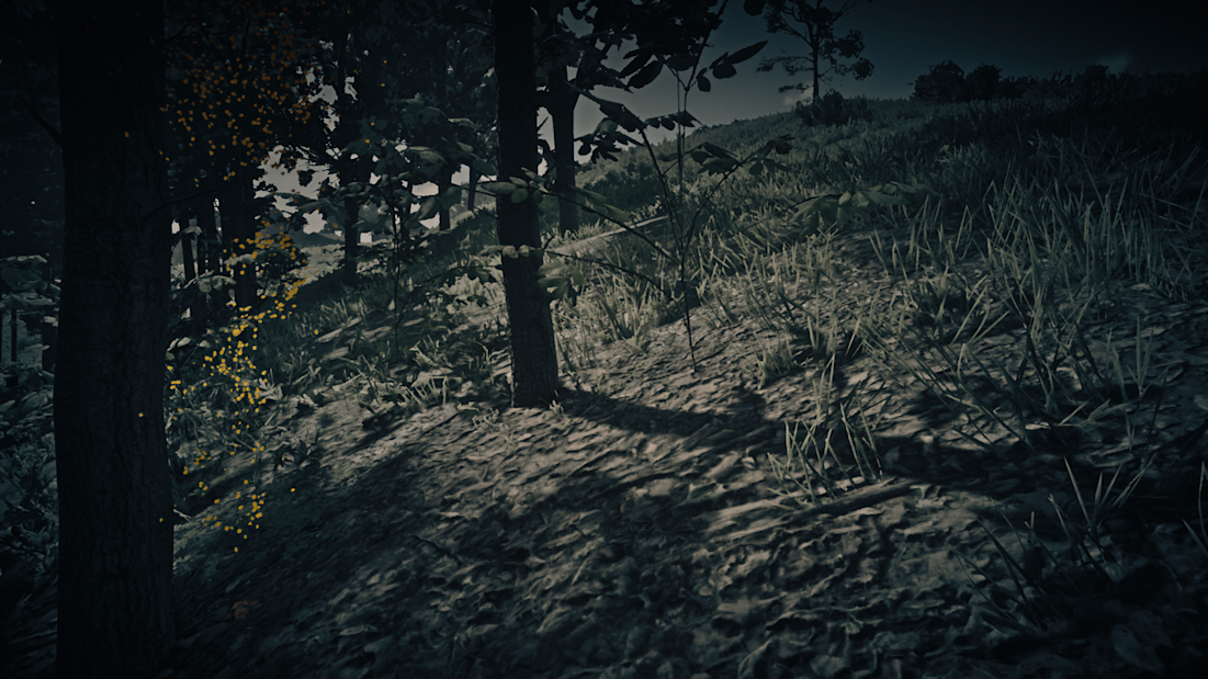 Legendary Fox First Clue Location - Legendary Fox - Red Dead Redemption ...