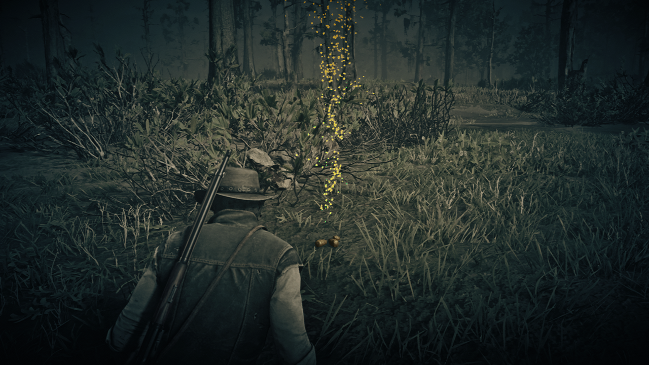 Legendary Boar First Clue Location - Legendary Boar - Red Dead ...