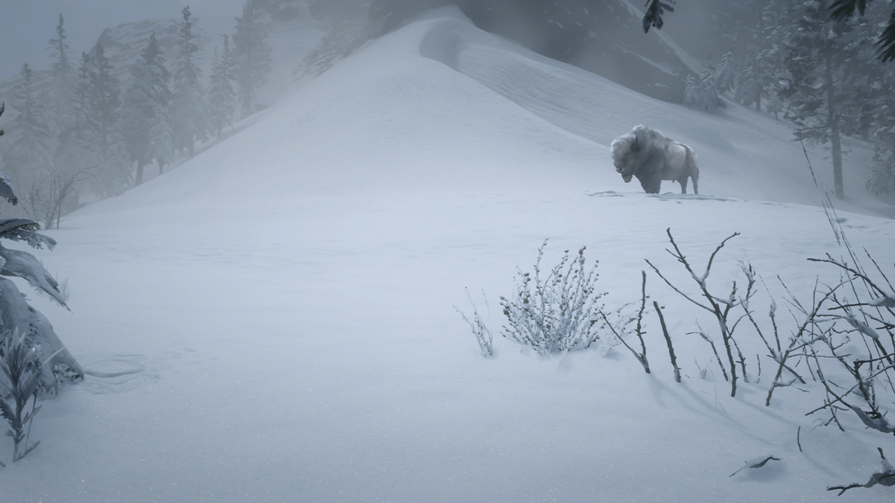 Legendary White Bison