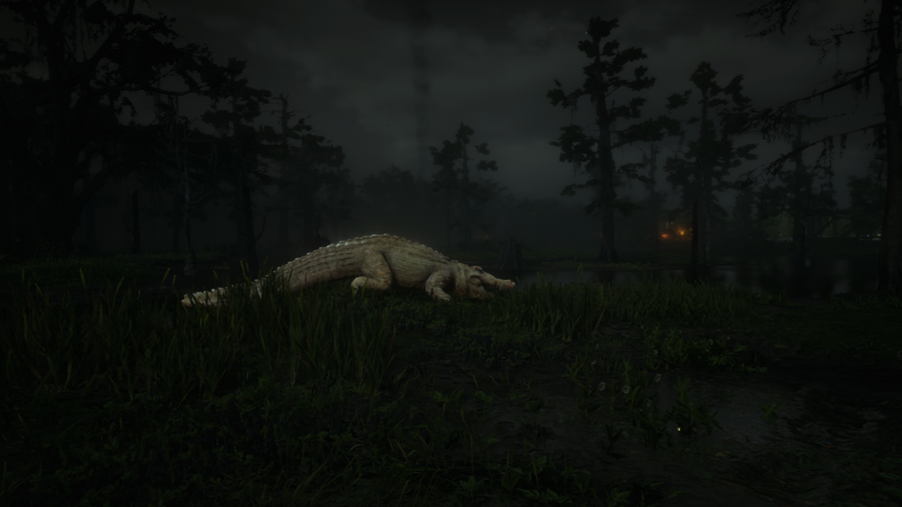 Legendary Alligator Location - Legendary Animal - Red Dead Redemption 2 ...