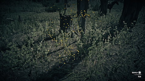 Legendary Buck First Clue Location - Legendary Buck - Red Dead ...