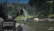 Legendary Sockeye Salmon Location - Legendary Fish - Red Dead ...
