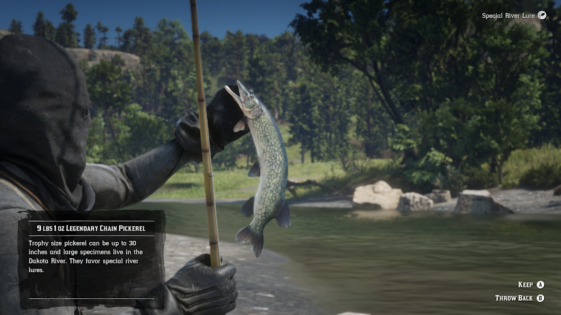 Legendary Steelhead Trout Location - Legendary Fish - Red Dead ...