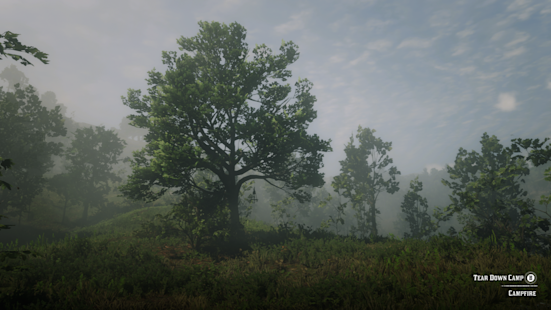 Cotorra Springs Location - Dreamcatcher - Red Dead Redemption 2 Map ...