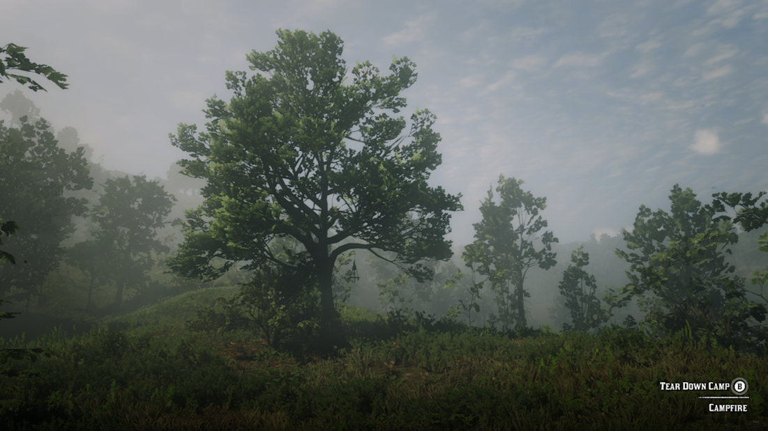 Cotorra Springs Location - Dreamcatcher - Red Dead Redemption 2 Map ...