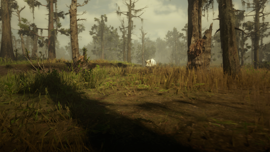 Legendary Bear Location - Legendary Animal - Red Dead Redemption 2 Map ...