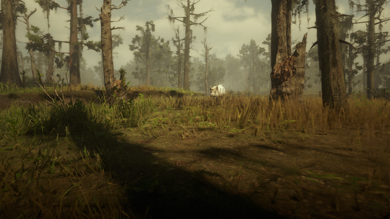 Legendary Boar Location - Legendary Animal - Red Dead Redemption 2 Map ...