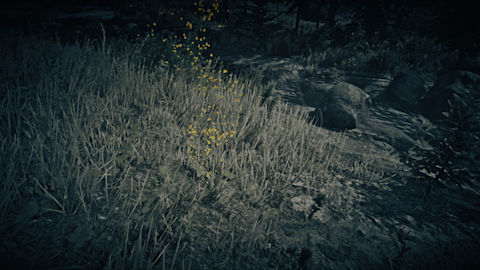 Legendary Bighorn Ram First Clue Location - Legendary Bighorn Ram - Red ...