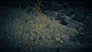 Legendary Bighorn Ram Location - Legendary Animal - Red Dead Redemption ...