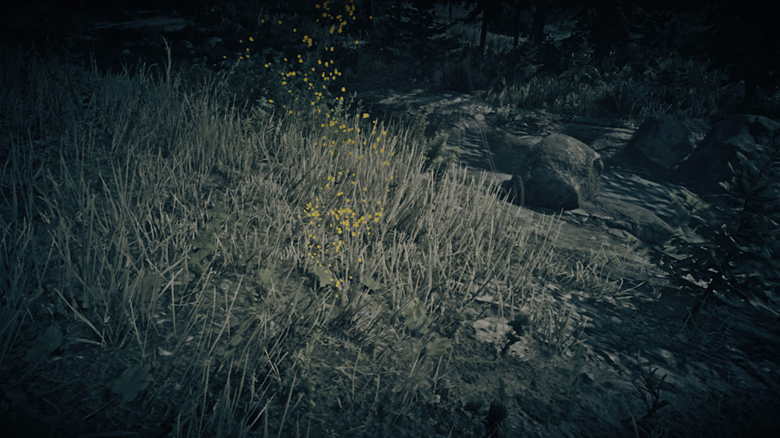 Legendary Bighorn Ram Location - Legendary Animal - Red Dead Redemption ...