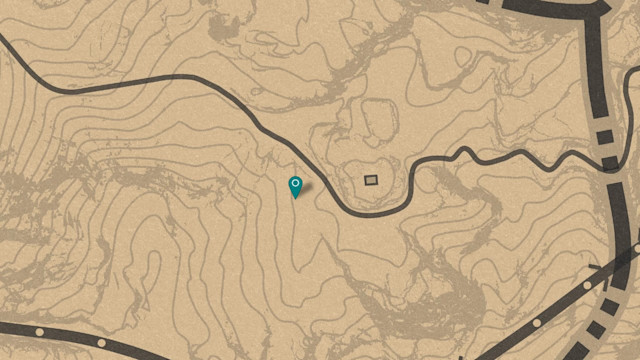 Dreamcatcher #16, Roanoke Ridge North location