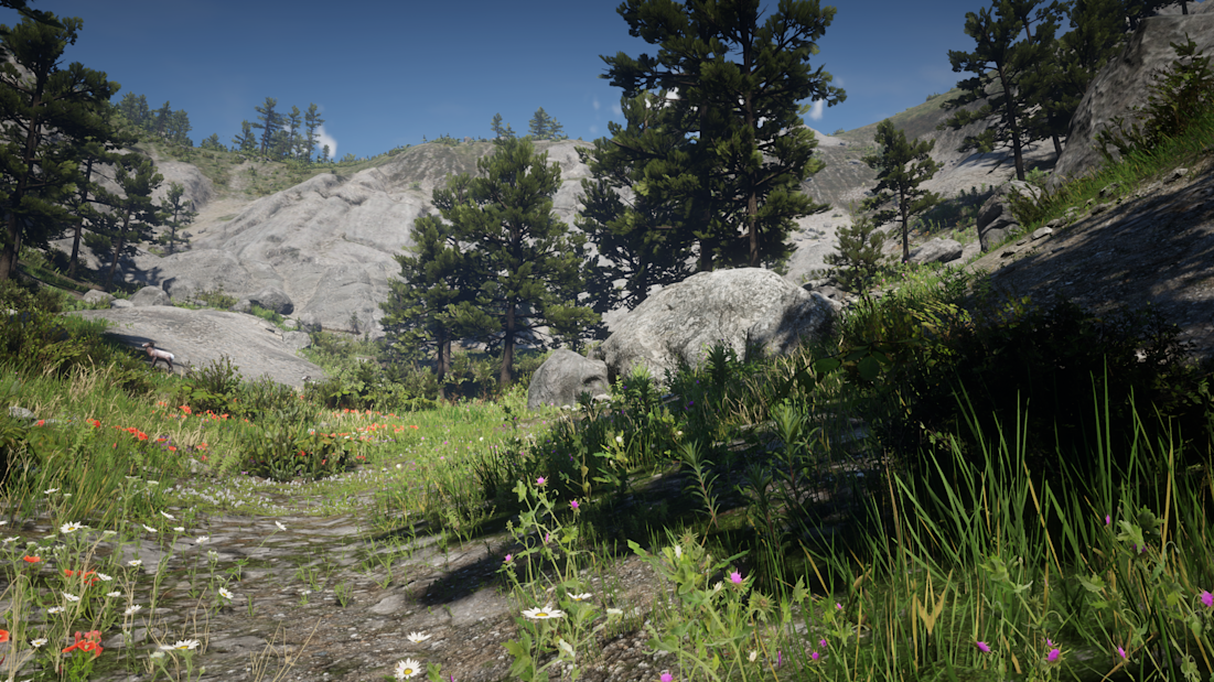 Legendary Bear Boulder Location - Legendary Bear - Red Dead Redemption ...