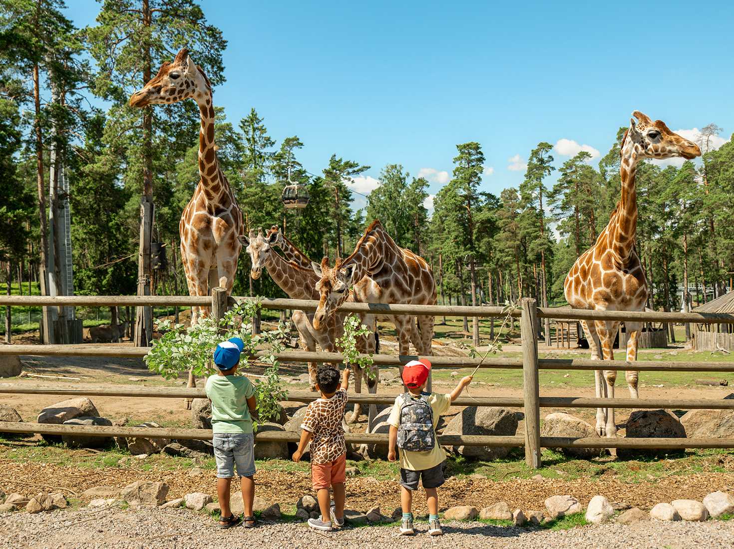 Kolmårdens djurpark