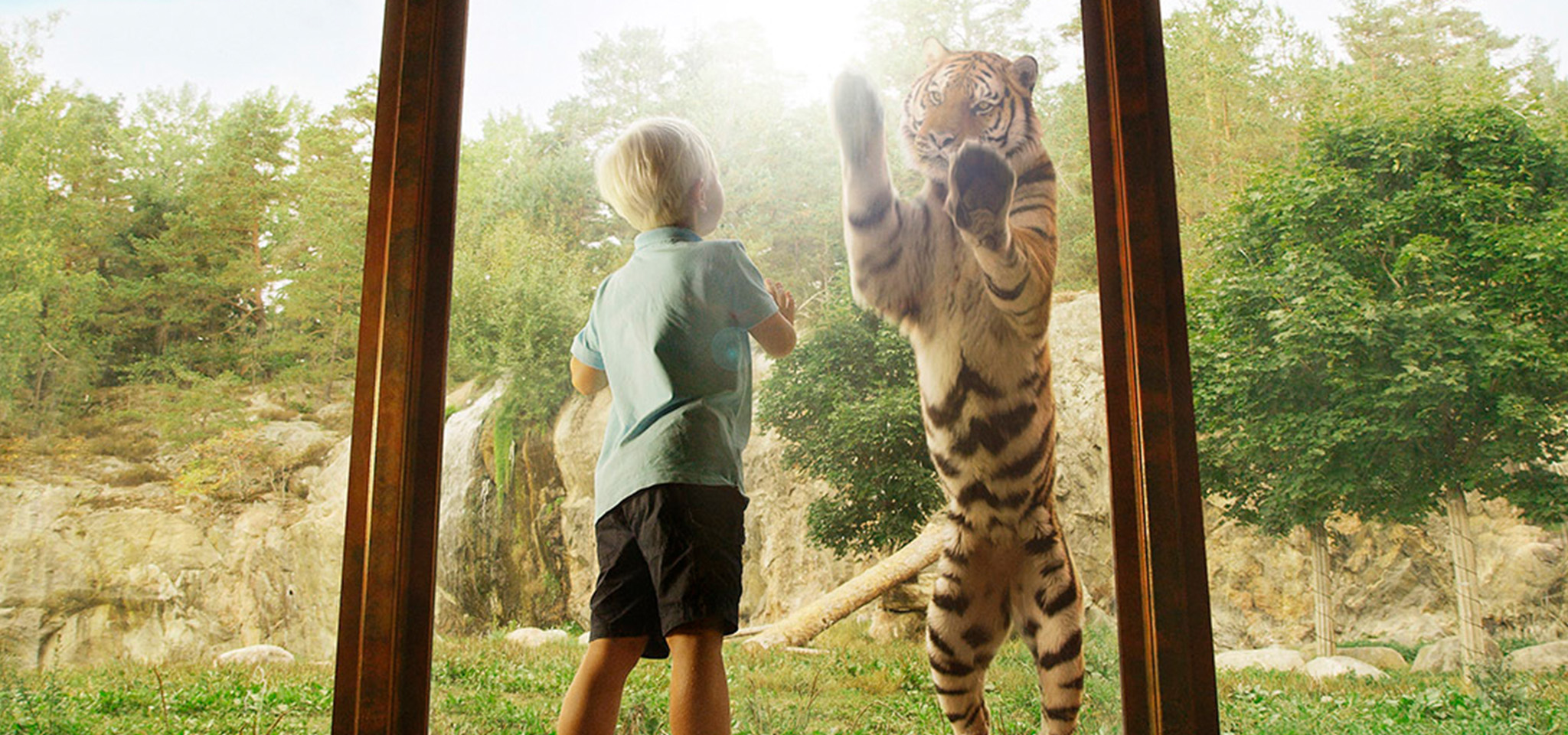 Guided tour - Tiger