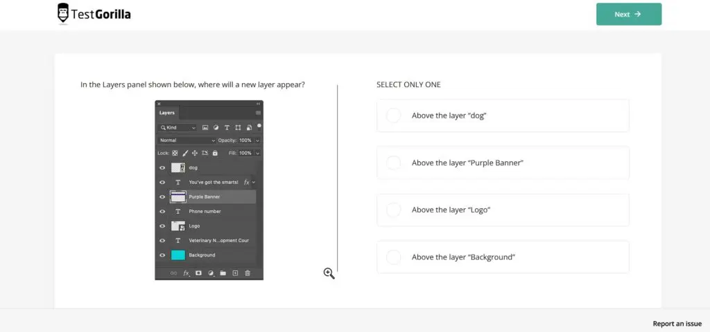 Basic knowledge of Adobe Photoshop - TestGorilla
