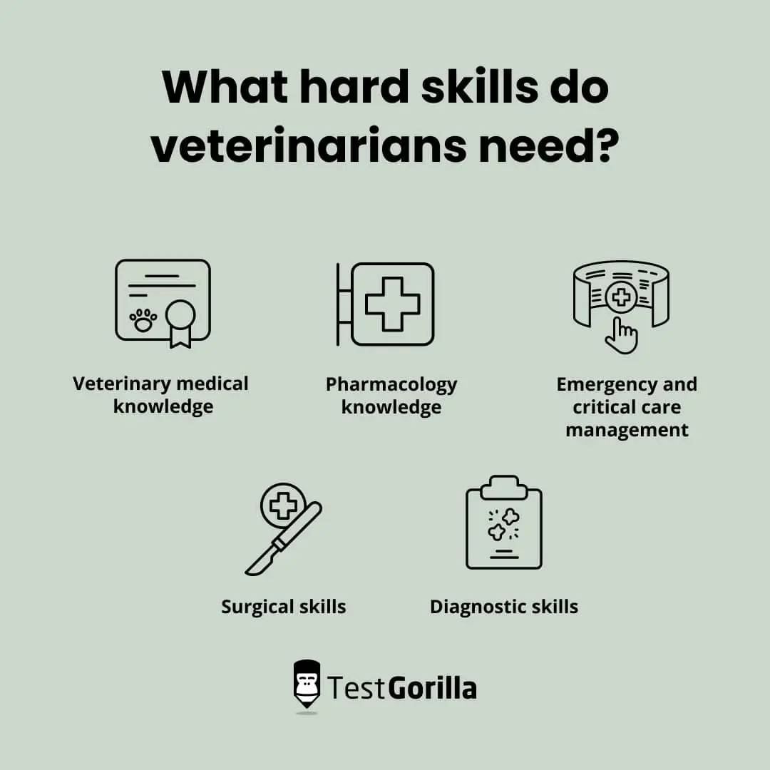 How to hire a veterinarian - TestGorilla
