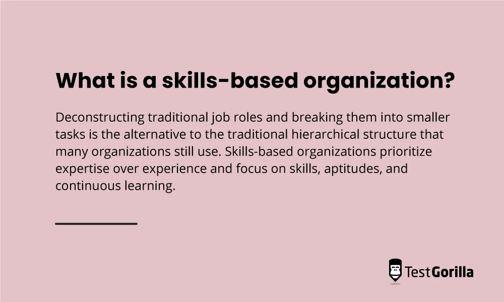 How to build a skills-based organization – TestGorilla