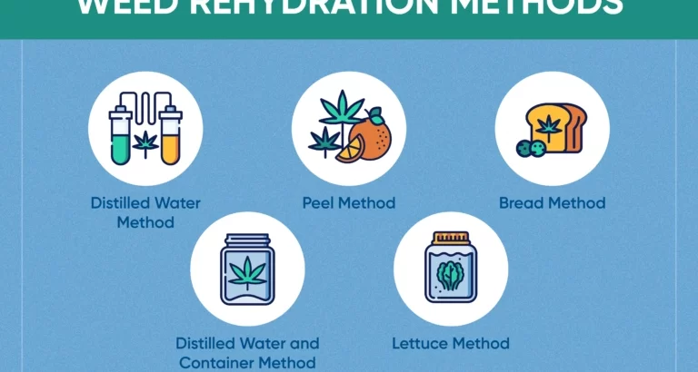 How To Rehydrate Cannabis