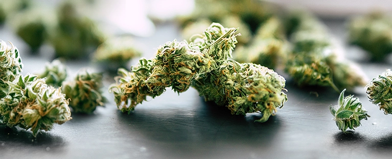 Best Cannabis Strains for Video Gaming | RISE Dispensaries