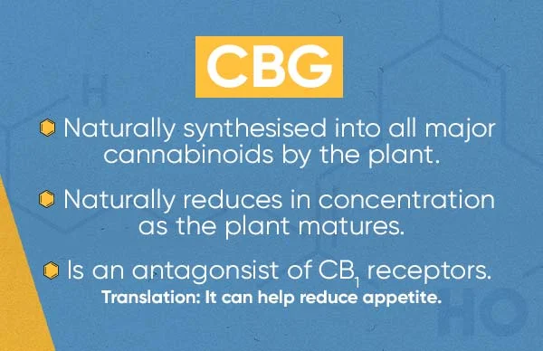 What is CBG? CBG vs CBD: Differences & Benefits | RISE
