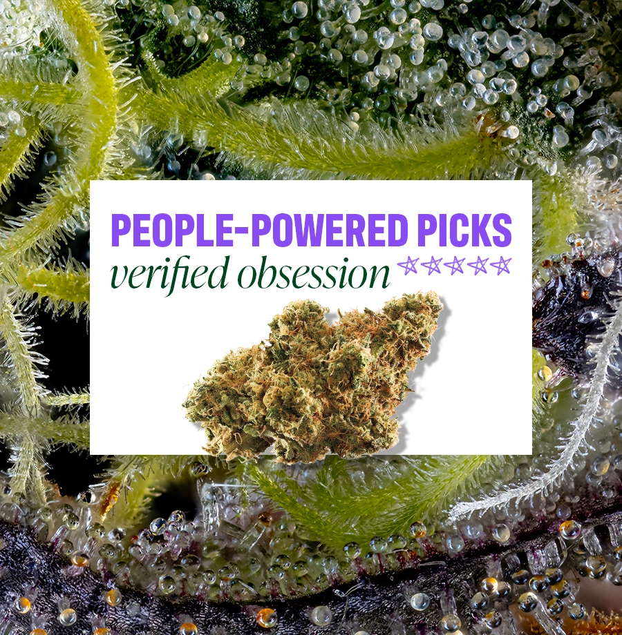 Pennsylvania Dispensary Deals, Sales & Discounts | RISE Dispensaries