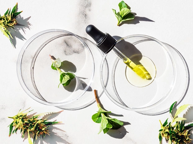 What is Ocimene Terpene? Effects & Benefits | RISE Dispensaries