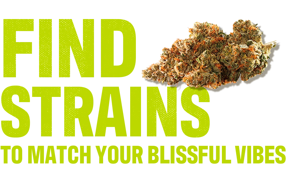Best Cannabis Strains for Video Gaming | RISE Dispensaries