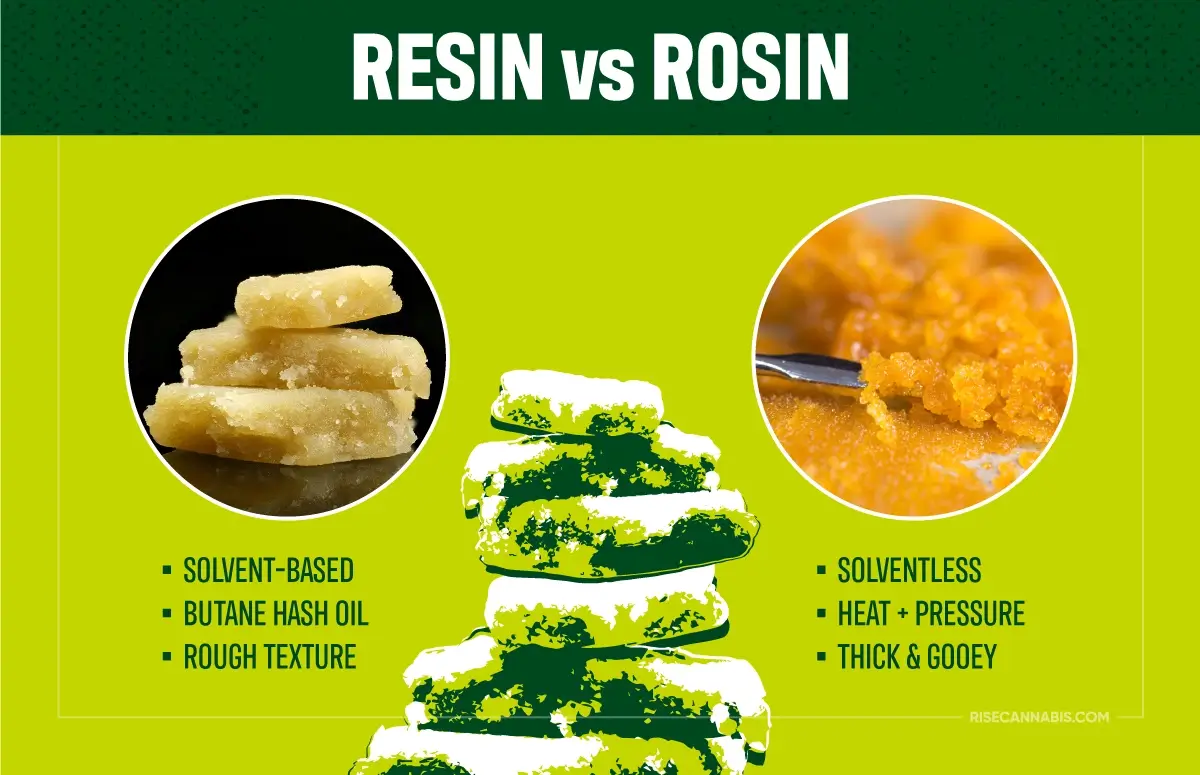 The Difference Between Live Rosin vs. Live Resin | RISE Dispensaries