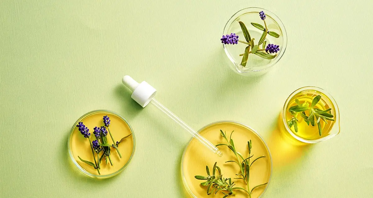 What is Linalool Terpene? Effects & Benefits | RISE Dispensaries