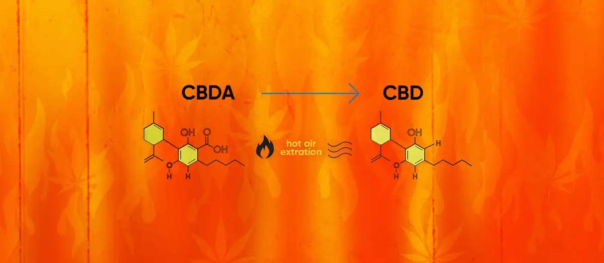 How to Decarb Marijuana | Cannabis Decarboxylation Guide | RISE