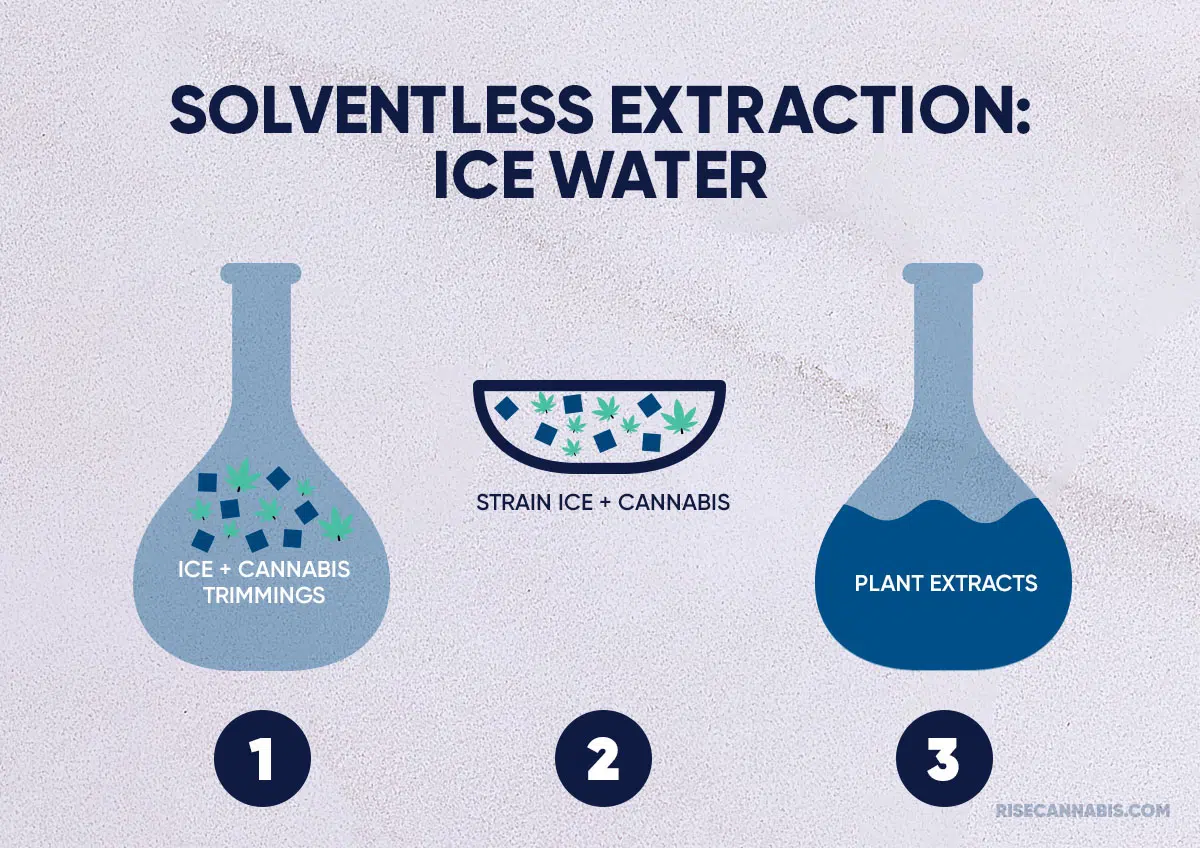 Different Types of Cannabis Extraction Methods | Rise Dispensaries