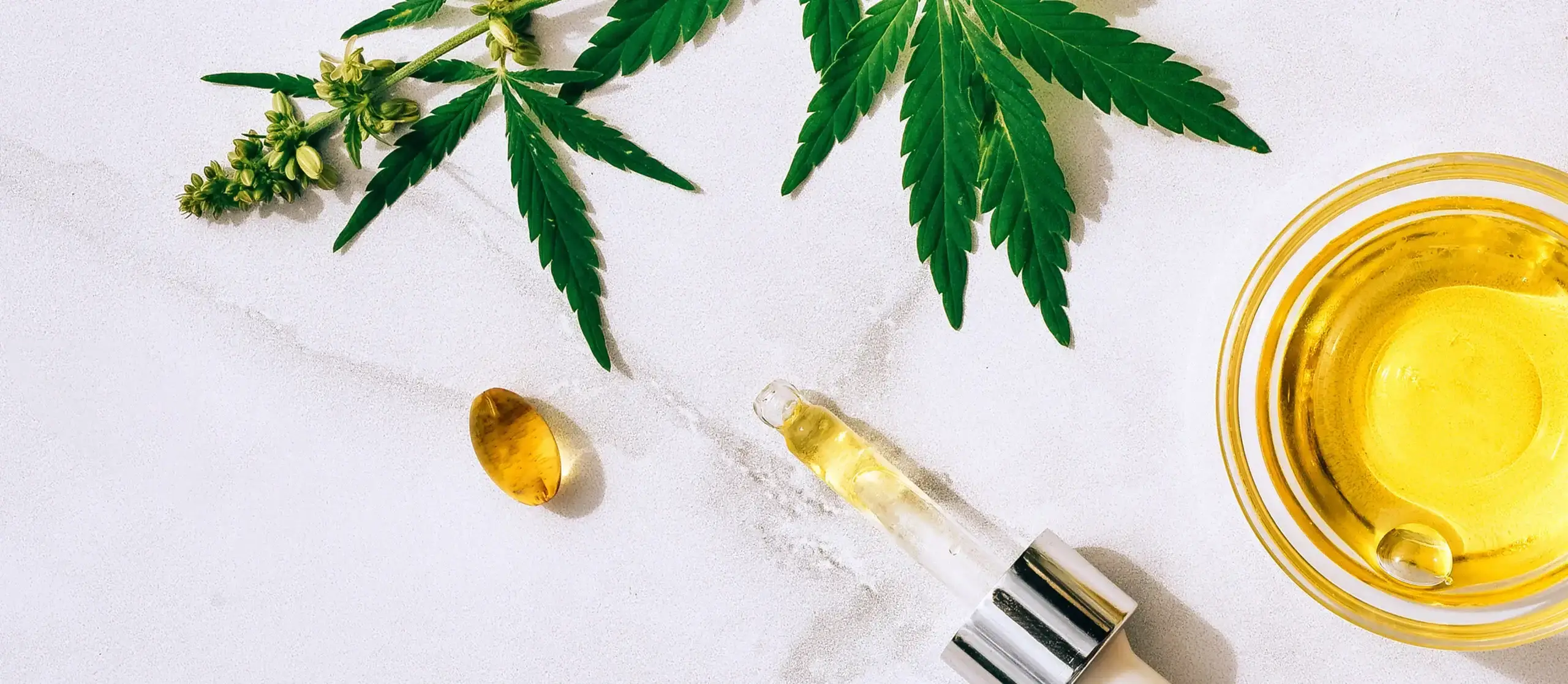 Different Types of Cannabis Extraction Methods | Rise Dispensaries
