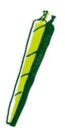 The Different Types of THC & Their Benefits | RISE Dispensary