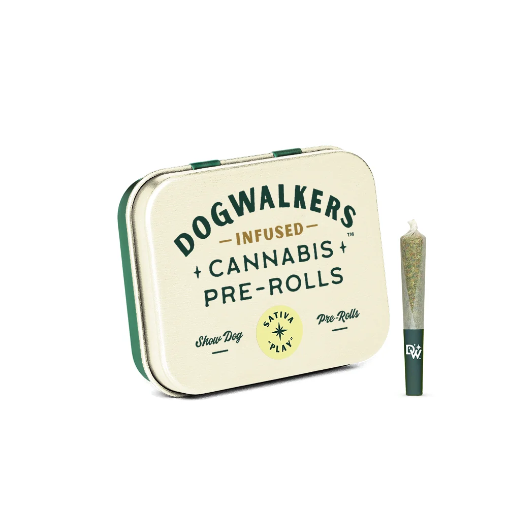 Cannabis & Concerts: A Harmonious Connection | RISE Dispensaries