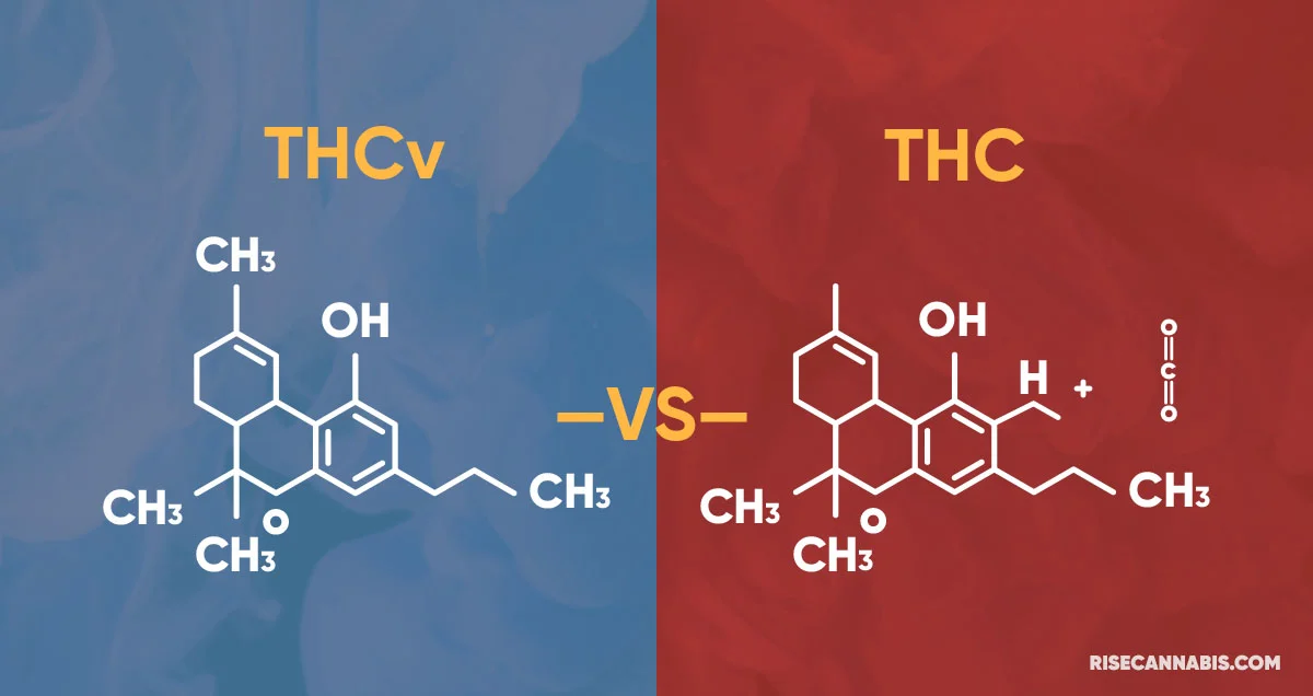 What is THCv: Effects of Tetrahydrocannabivarin | Rise Dispensaries