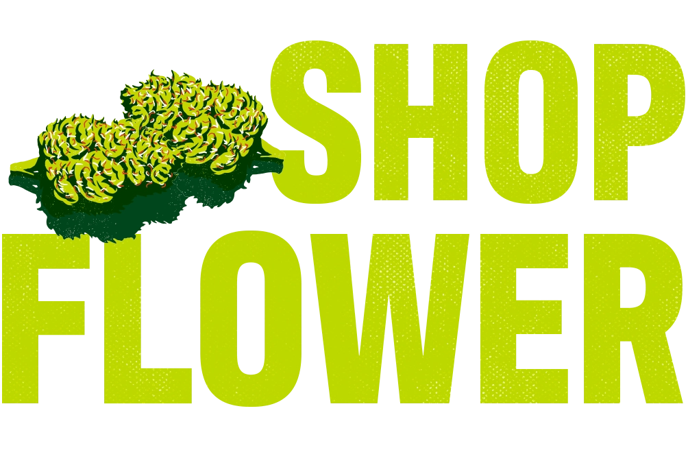 Best Cannabis Strains for Video Gaming | RISE Dispensaries