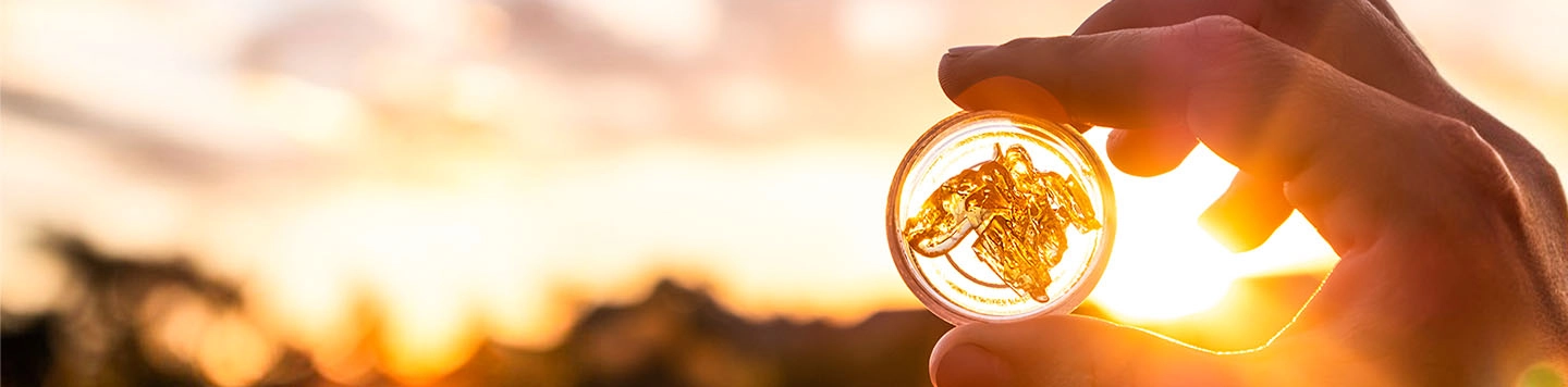 What is Hashish Oil? Is Hashish Oil Legal? | RISE Dispensaries